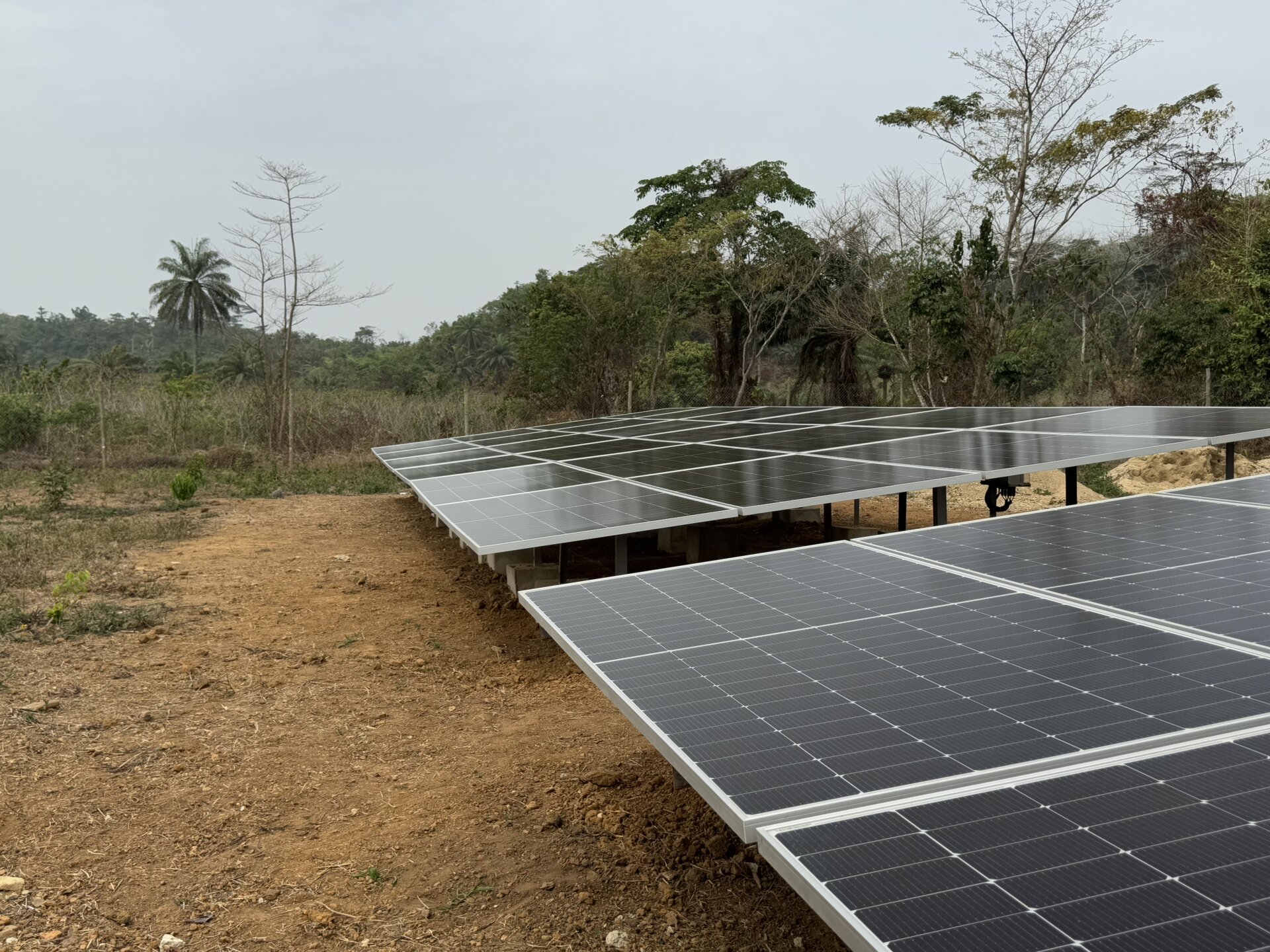 Our projects - BGFA