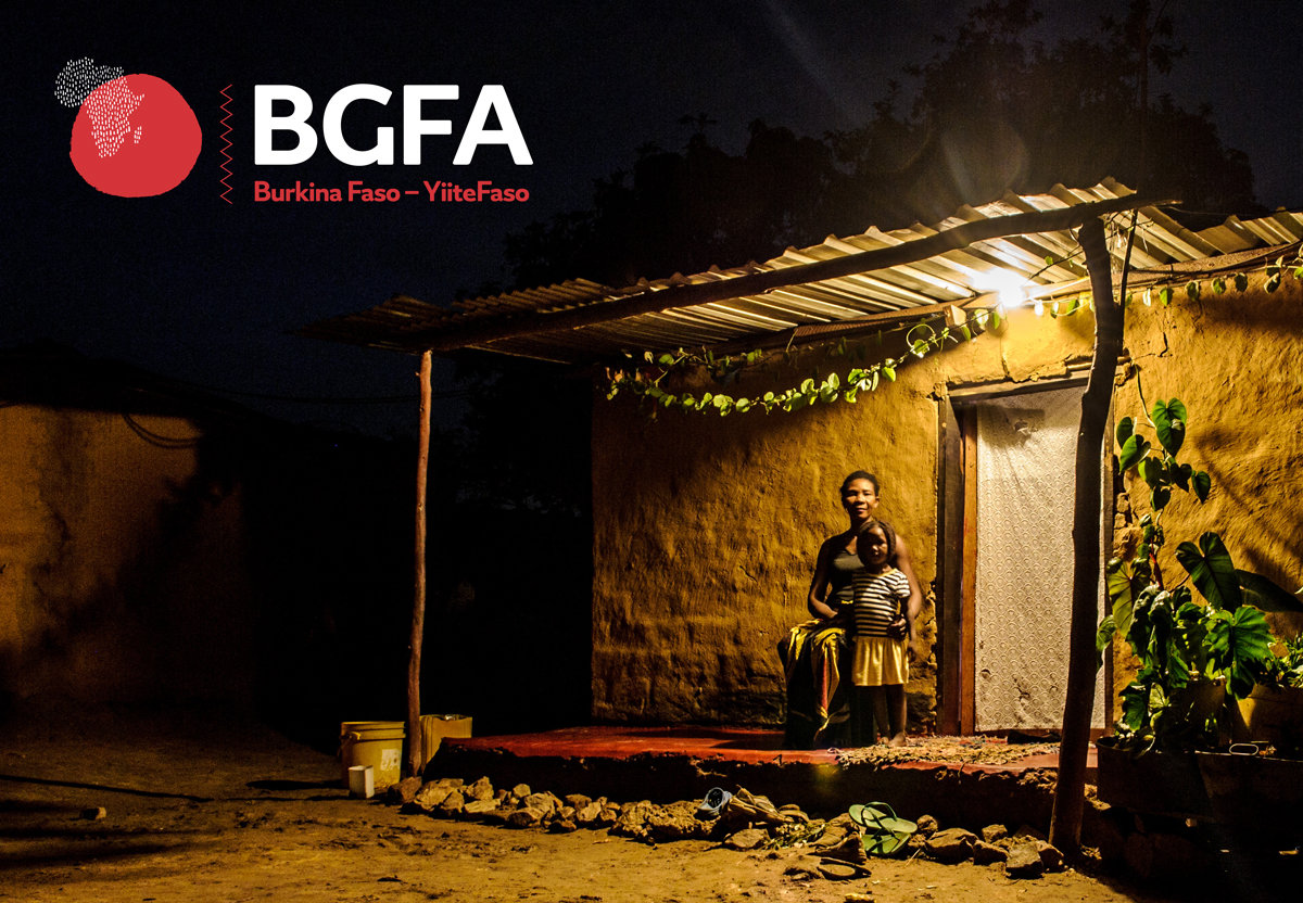 Outcomes: Stakeholder Workshop Ouagadougou - BGFA